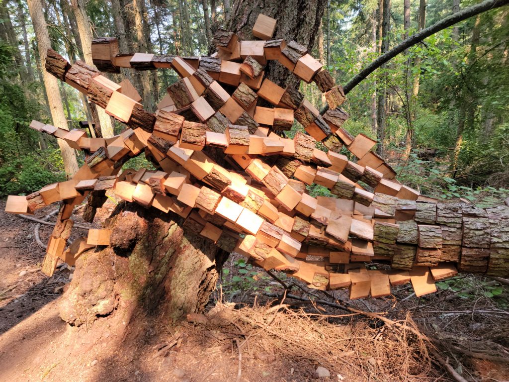 The Price Sculpture Forest - Whidbey Island
